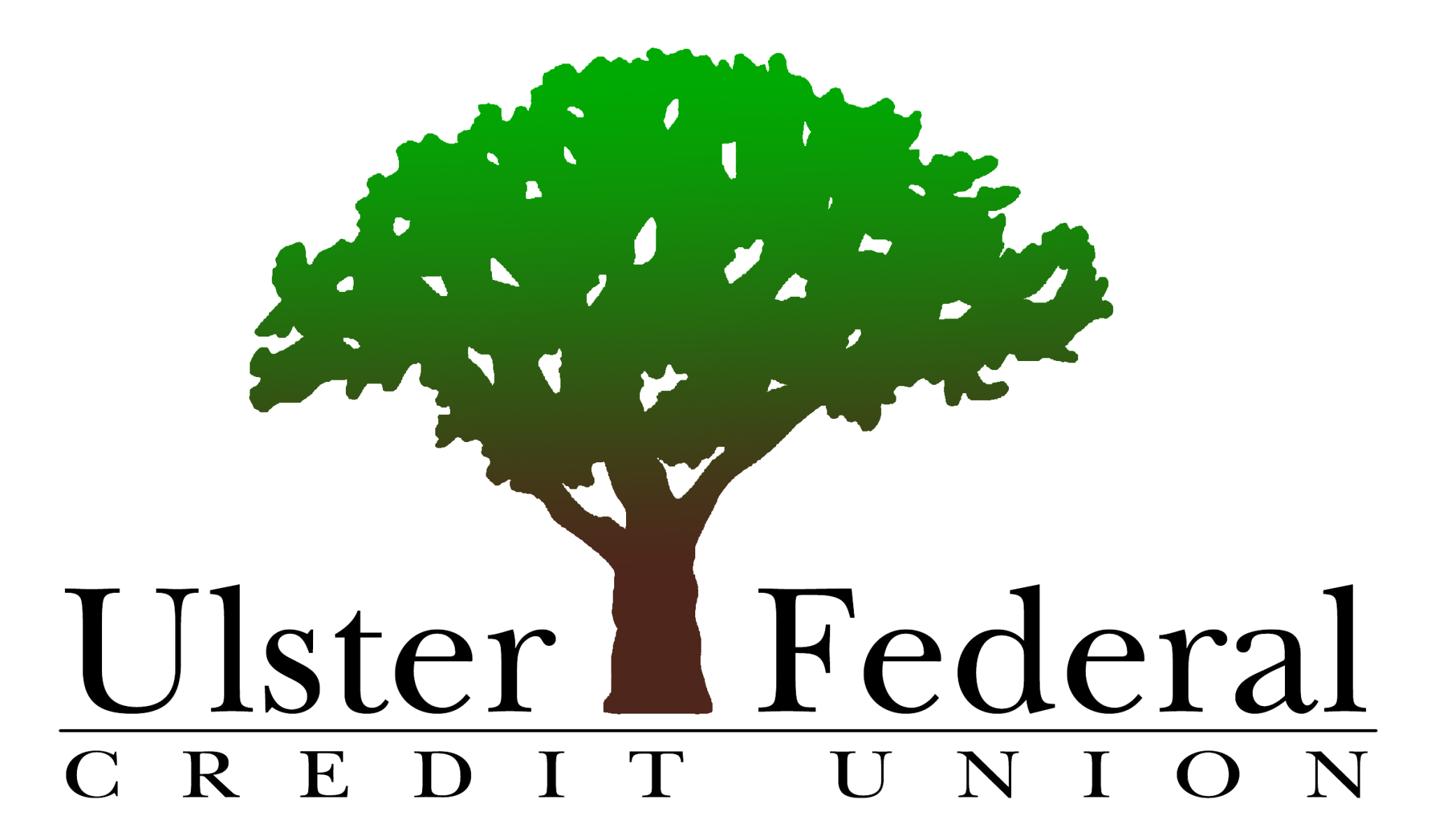 Uptown Kingston Snowflake Festival – kuba.network